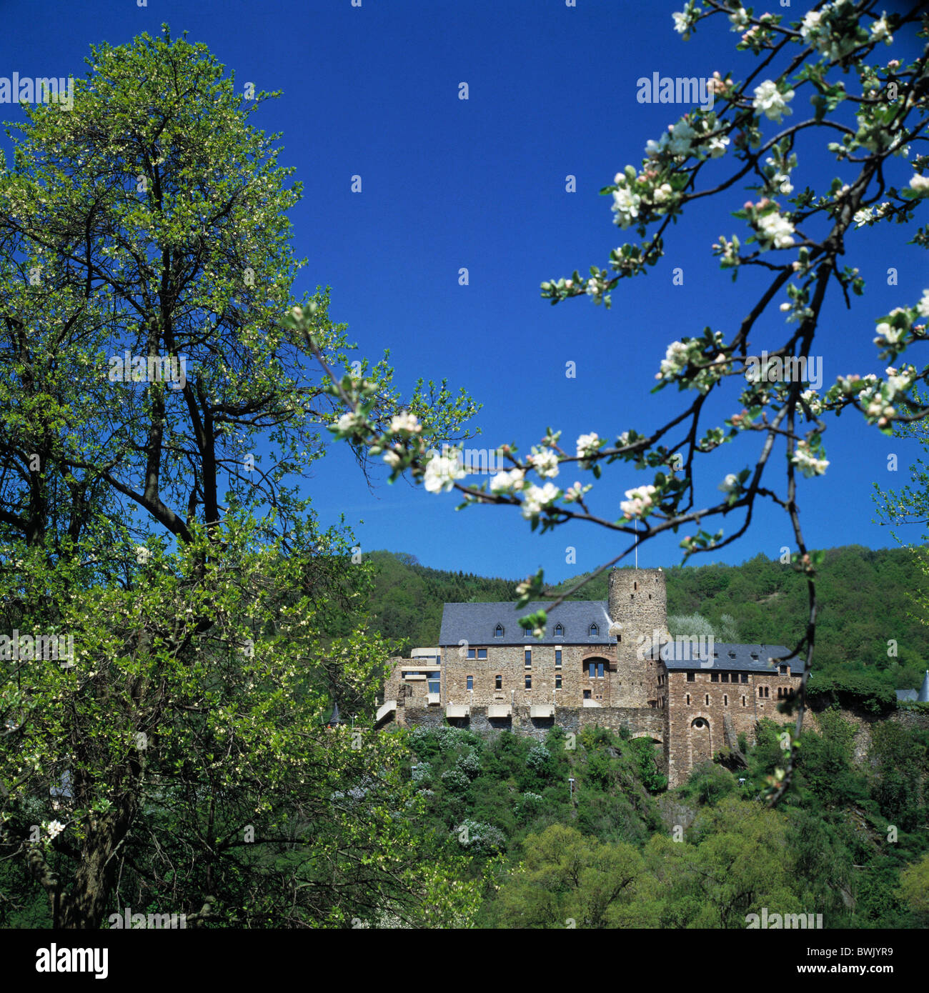 castle Hengebach view scenery landscape spring fruit blossom Heimbach ...