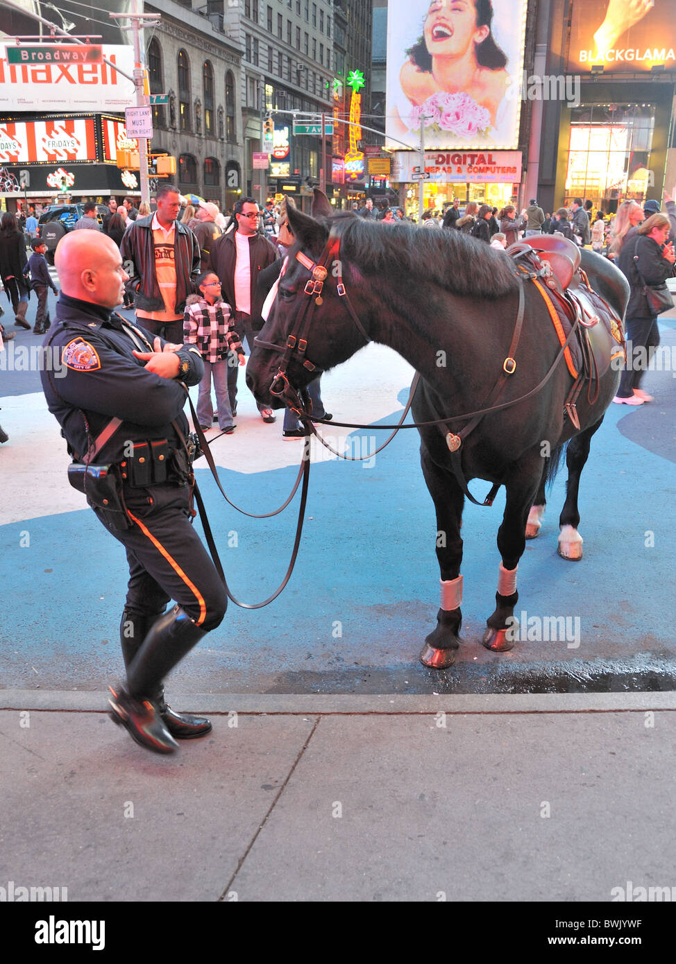 New York City Times Square Naked Cowboys Horse Stock Photo - Alamy