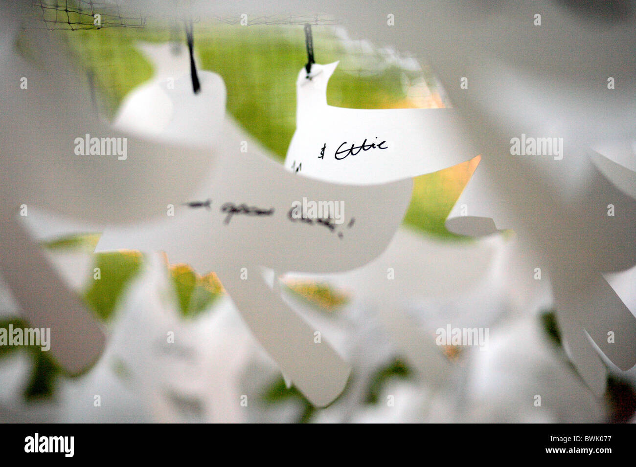 paper cut doves Stock Photo - Alamy