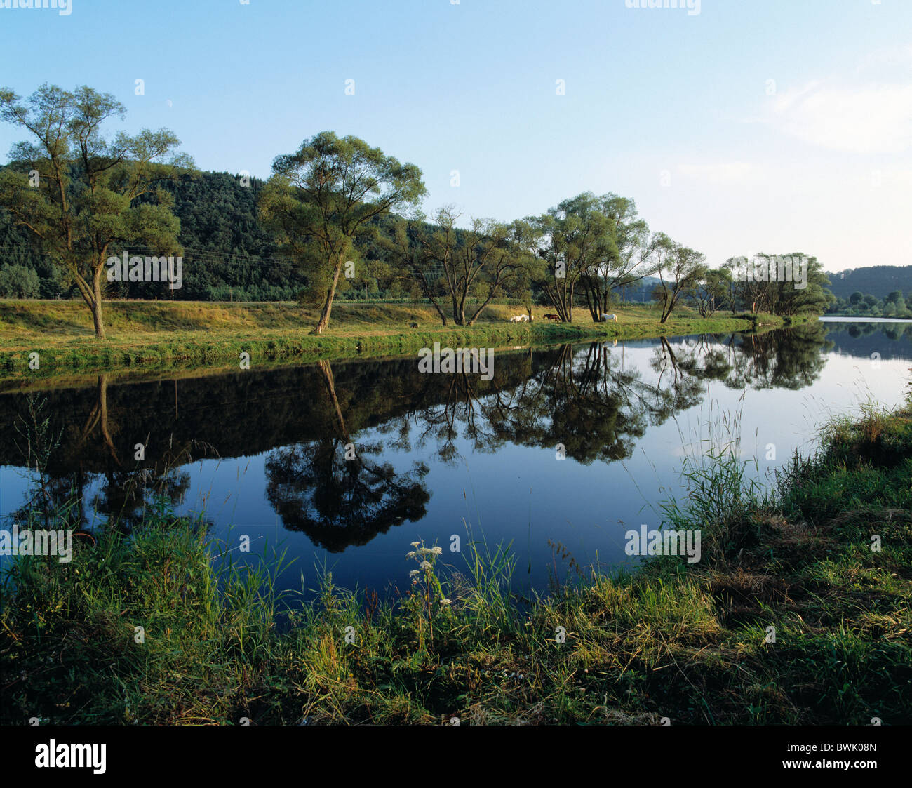river scenery scenery landscape river Sieg near Windeck nature reserve ...