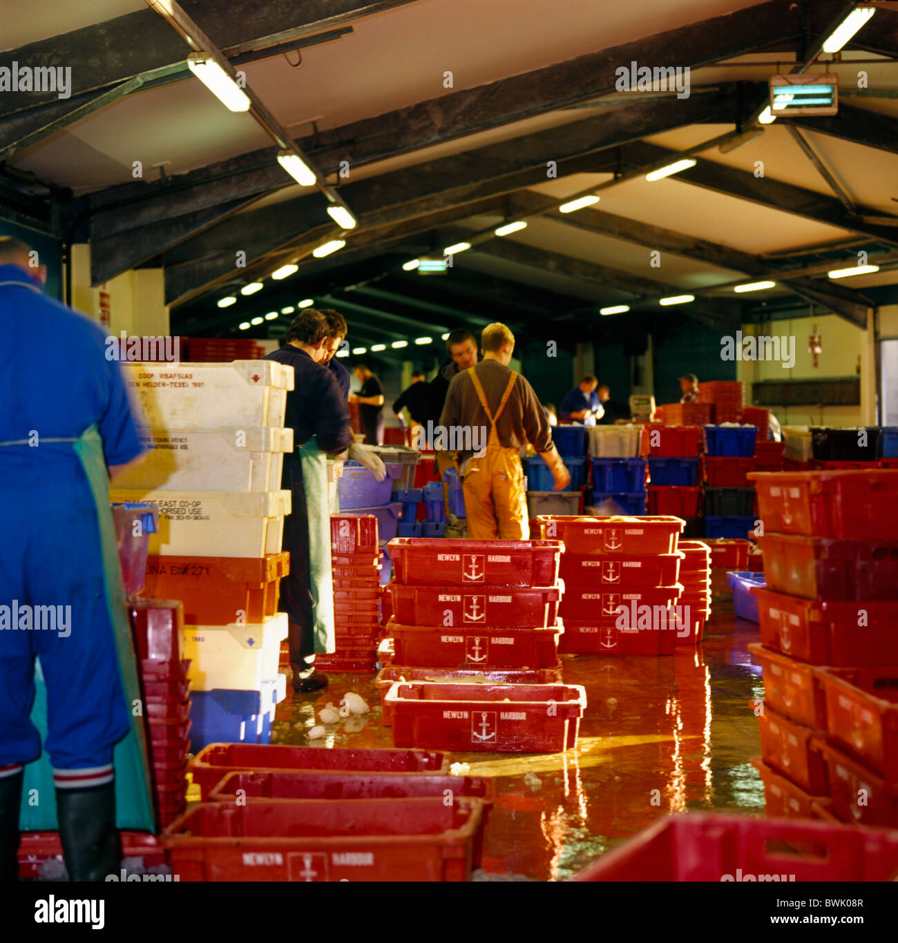 Newlyn Fish Market Cornwall Stock Photo - Alamy