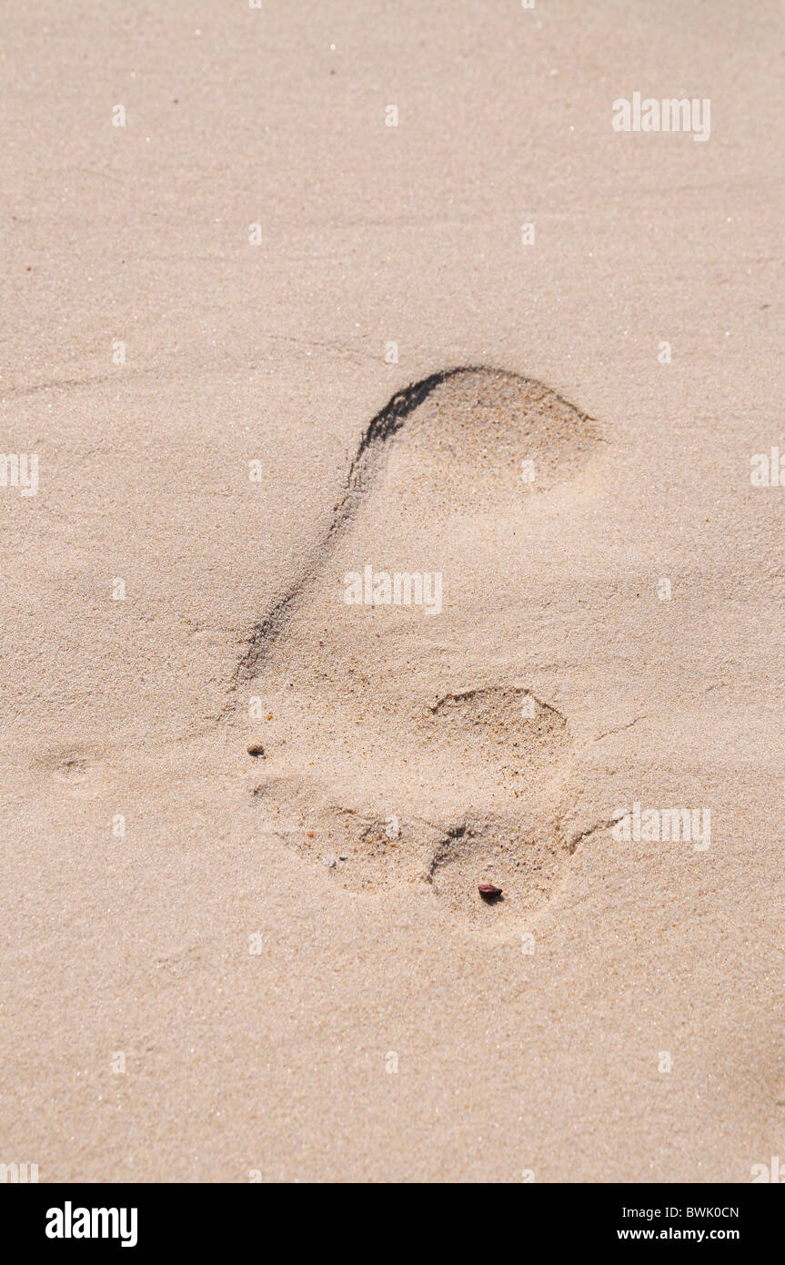 Dado beach hi-res stock photography and images - Alamy