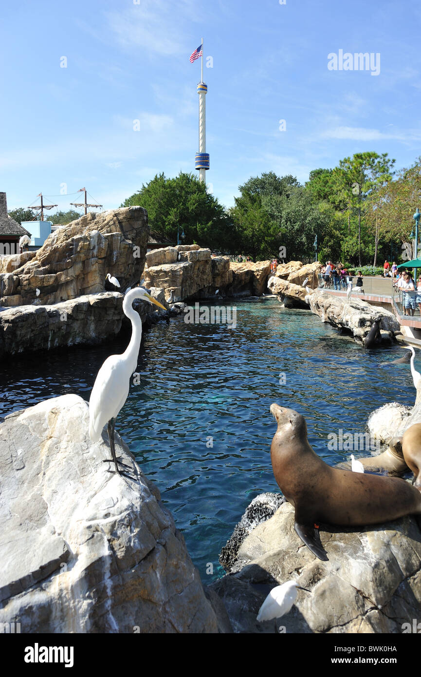 SeaWorld Orlando Florida Stock Photo - Alamy