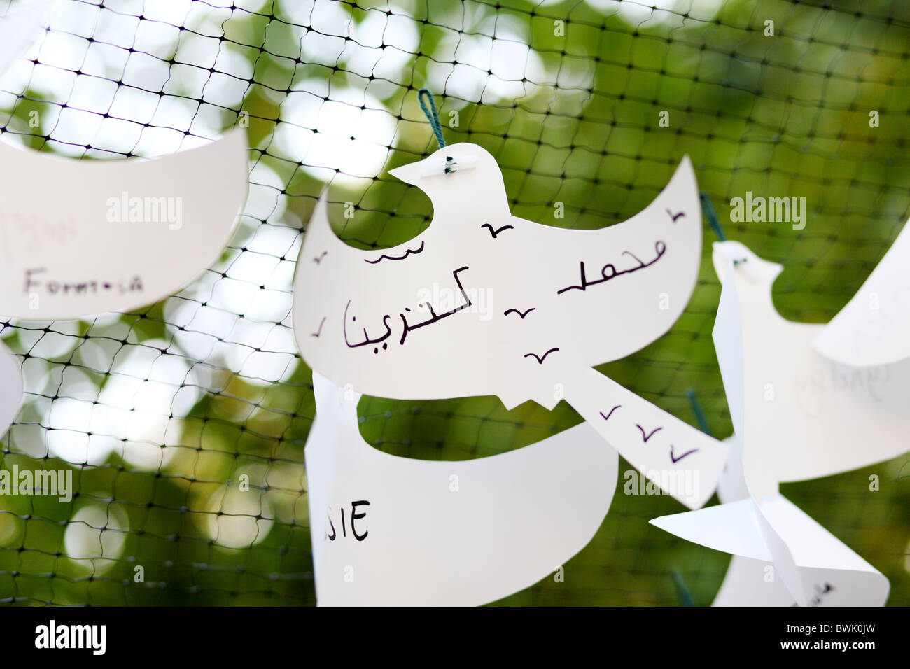 paper cut doves Stock Photo - Alamy
