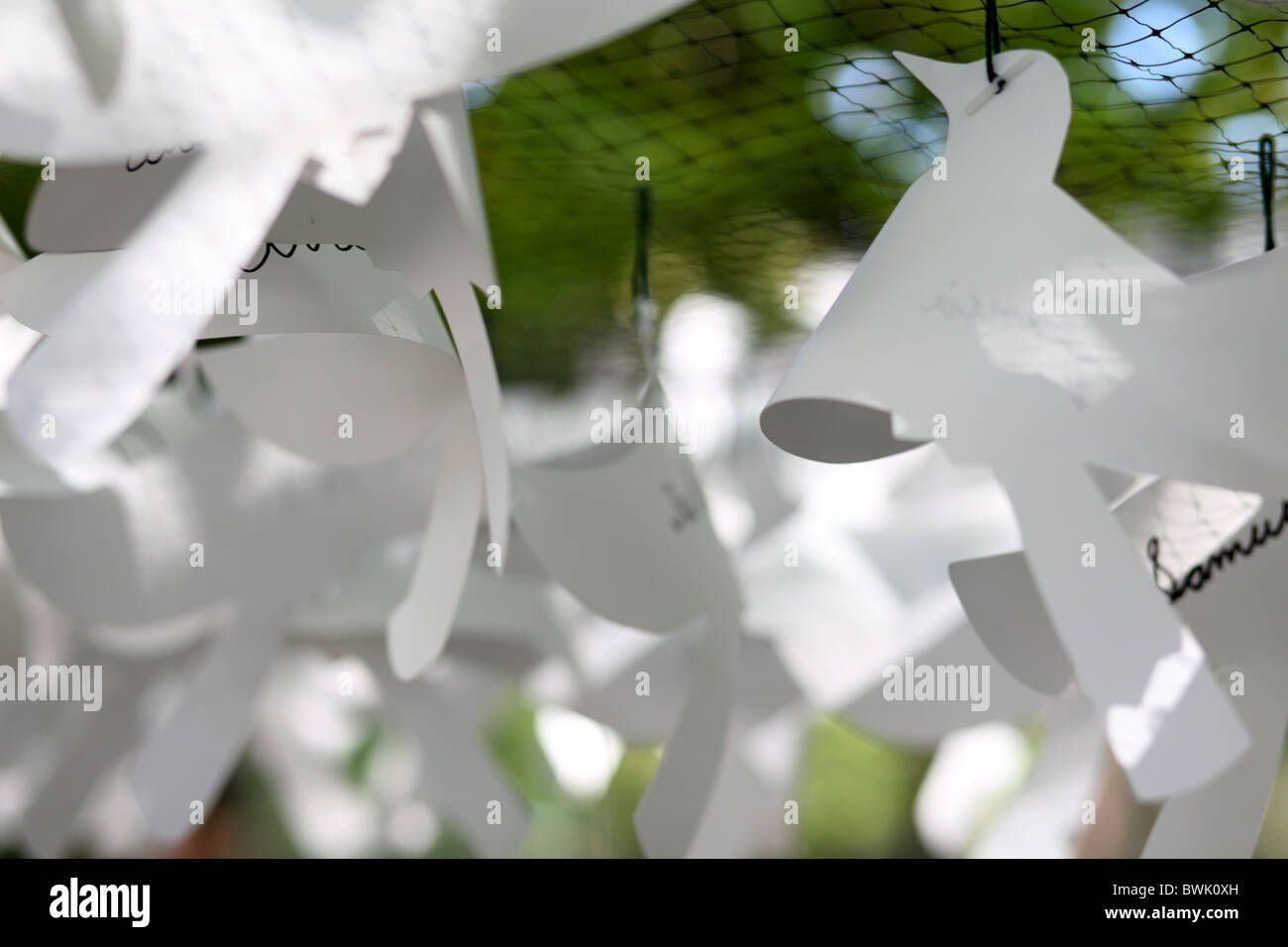 paper cut doves Stock Photo - Alamy