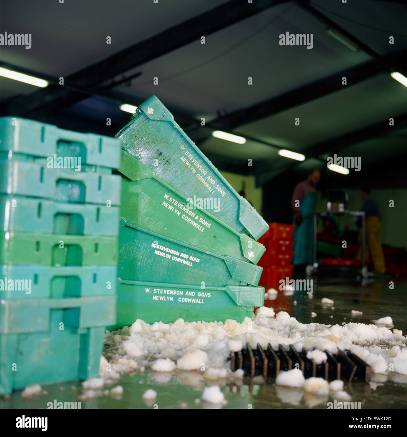 Newlyn Fish Market Cornwall Stock Photo - Alamy