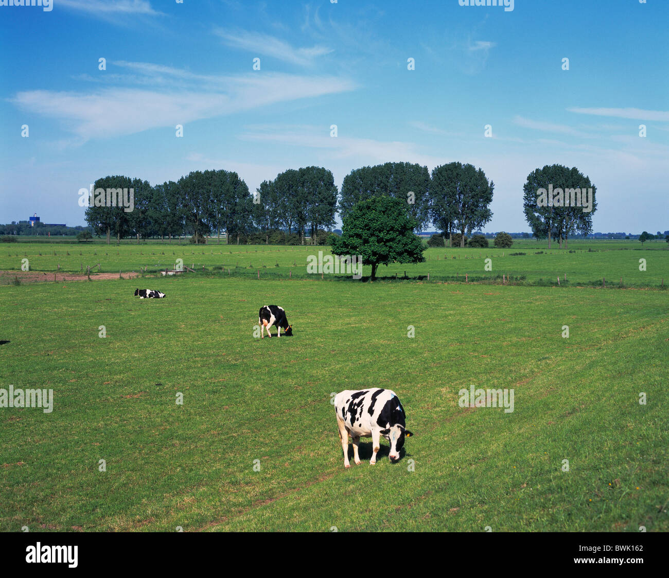 10826698 hi-res stock photography and images - Alamy