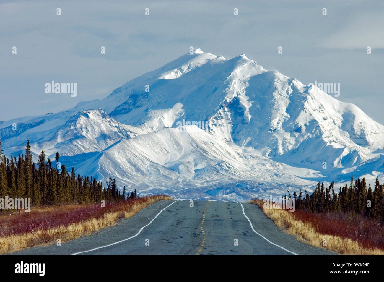 Mount Drum Wrangell St. Elias national park USA America United States ...