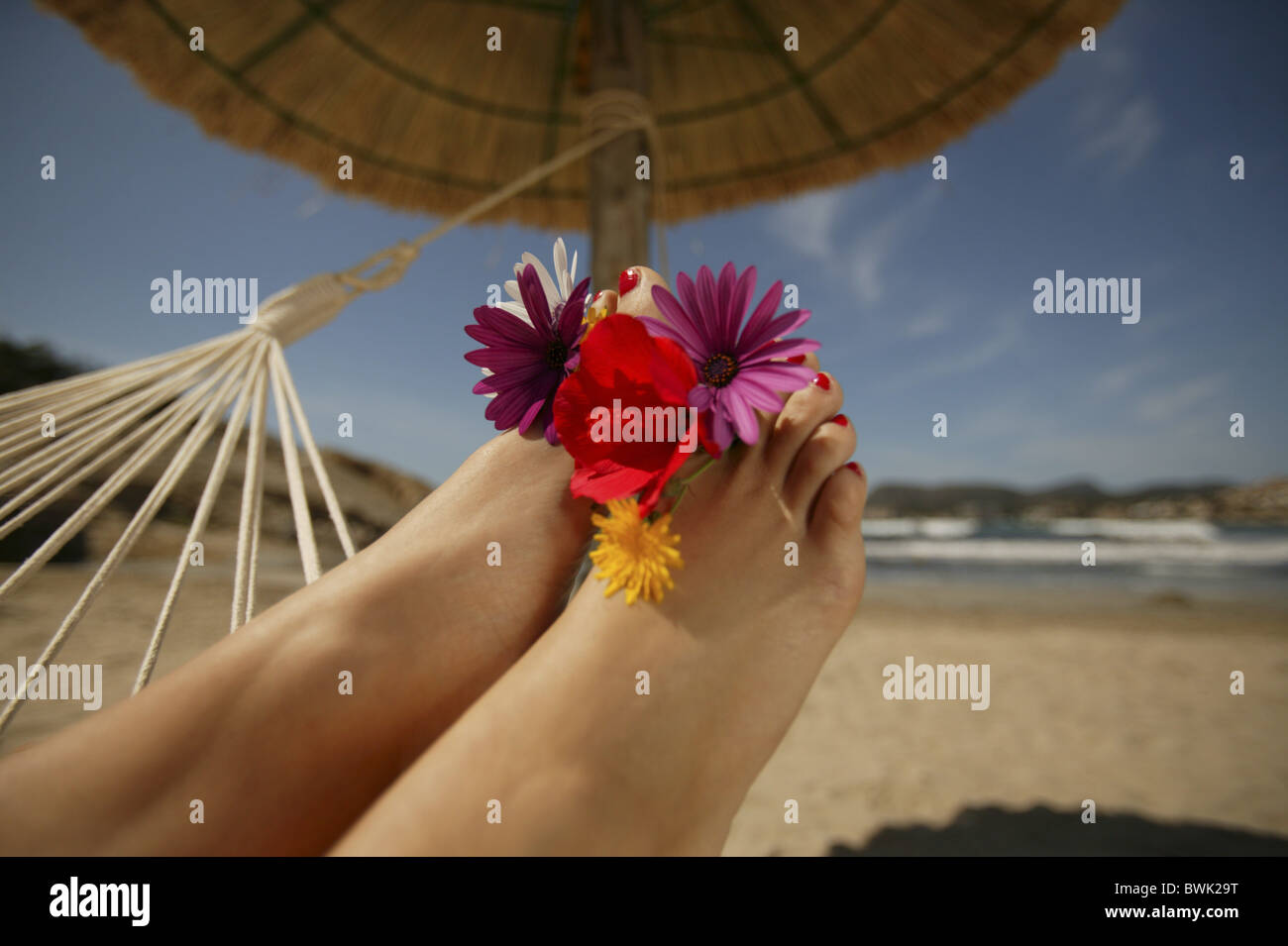 Woman's feet with flowers Stock Photo - Alamy