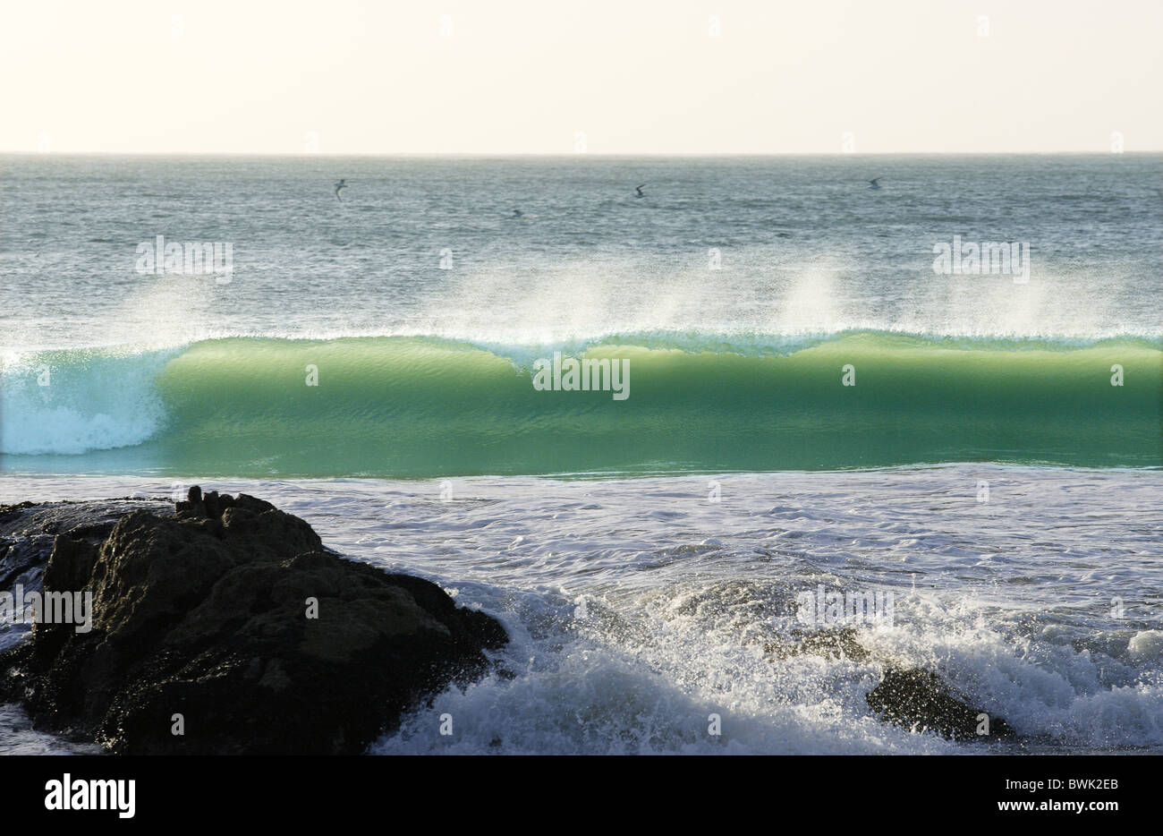 Water paternoster hi-res stock photography and images - Alamy