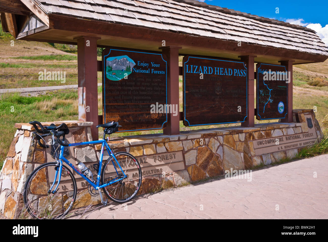 Bicycle lizard hi-res stock photography and images - Alamy
