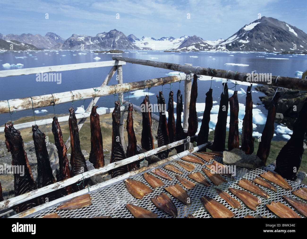 Greenland east coast Kulusuk cape Dan skinned seals fish dry air-drying ...