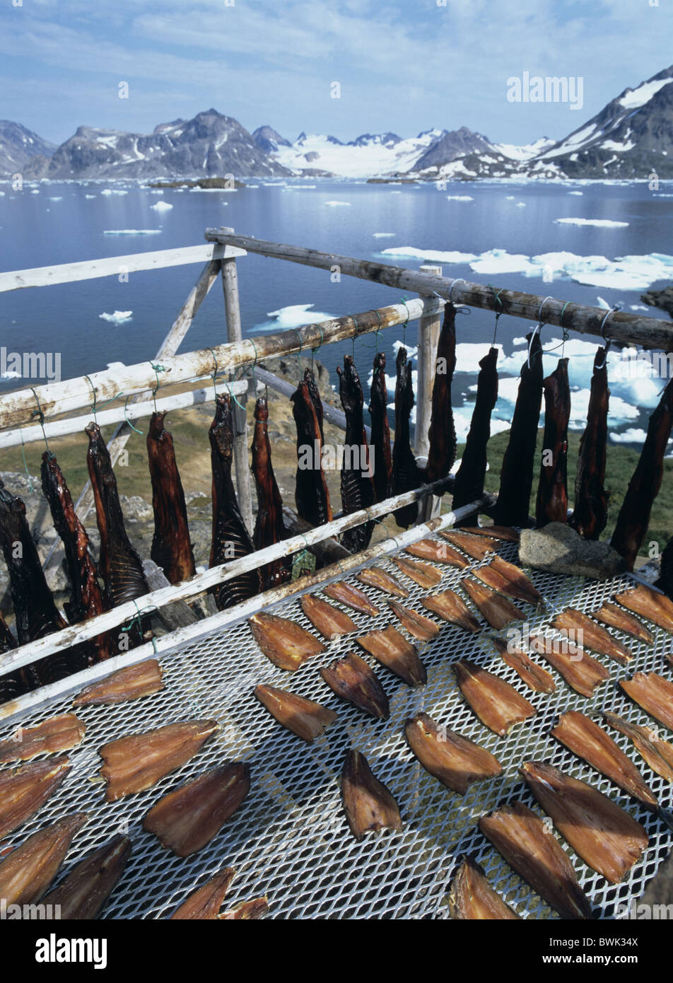 Greenland east coast Kulusuk cape Dan skinned seals fish dry air-drying ...