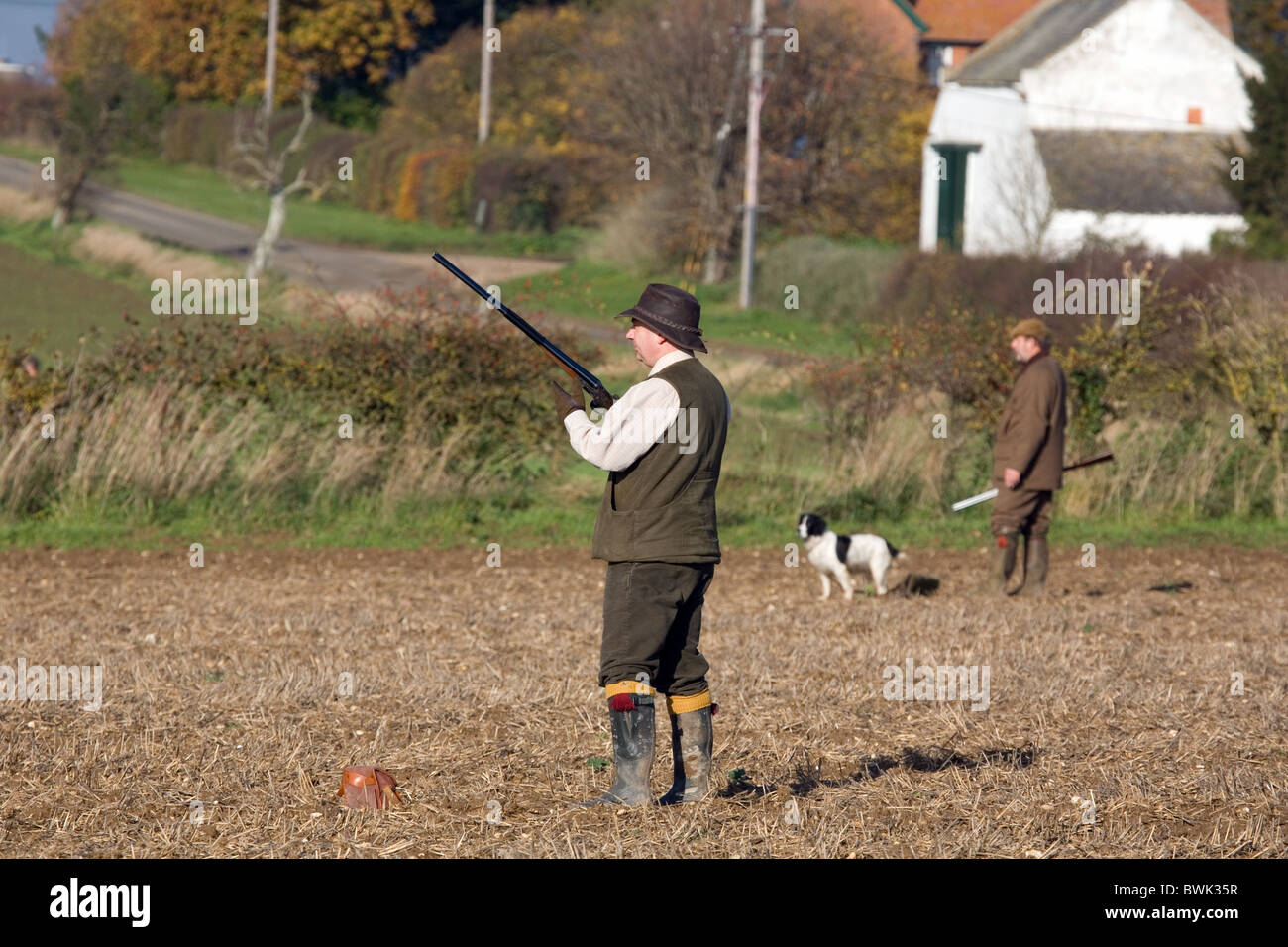Shooters (guns) waiting for the game birds to rise on a shoot in ...