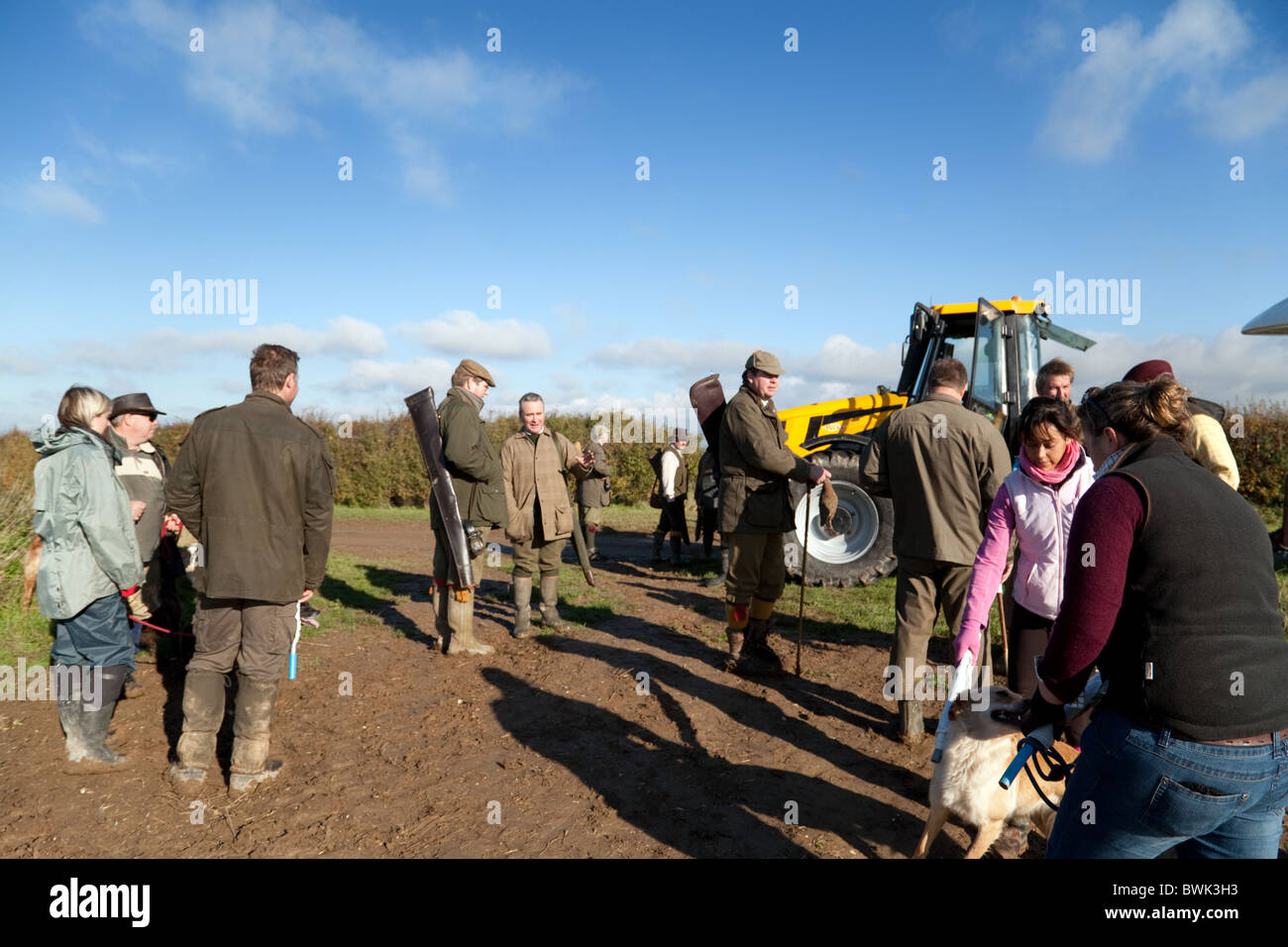 Uk game bird hi-res stock photography and images - Alamy