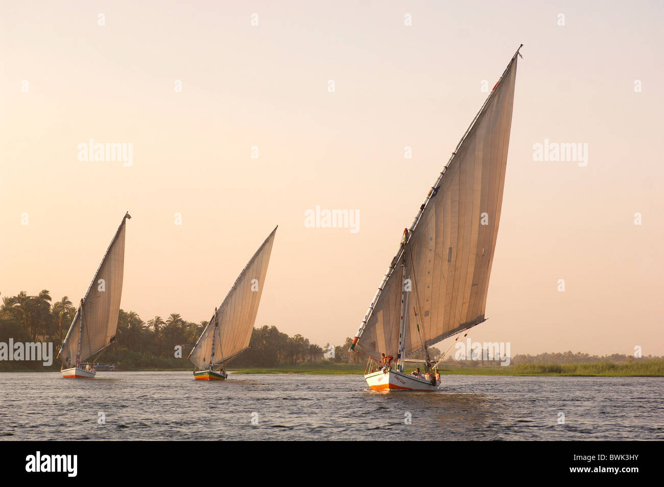 Felucke Feluke Nile river flow boats sail boats Luxor Egypt North ...