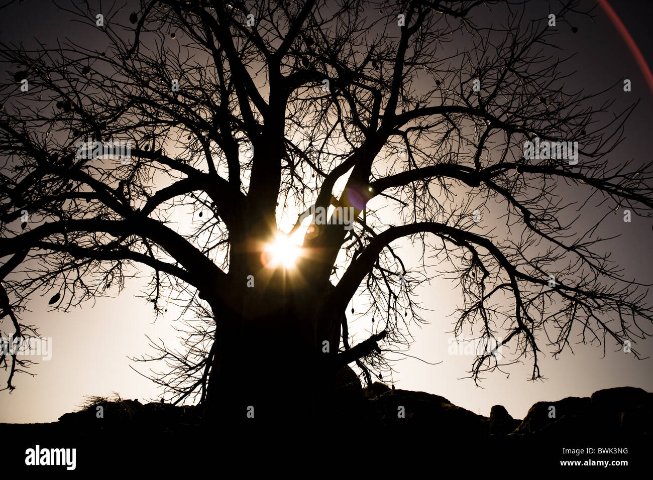Falaise de bandiagara hi-res stock photography and images - Alamy