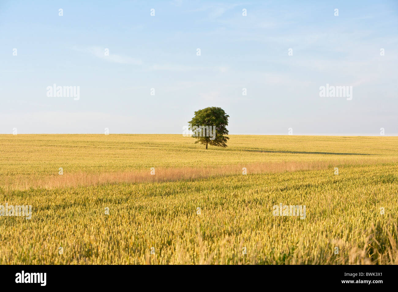 Only the lonely hi-res stock photography and images - Alamy