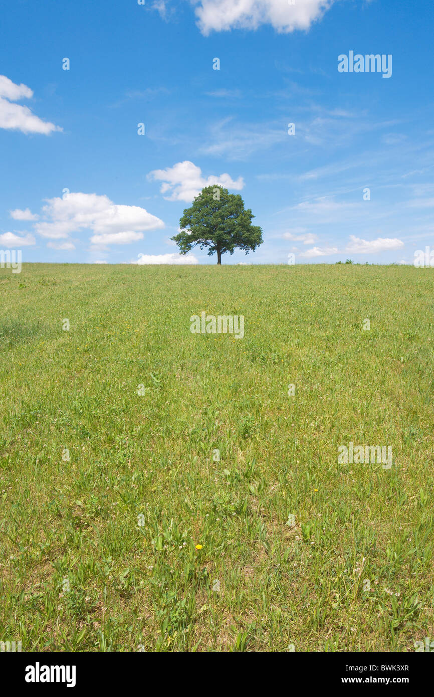 Only the lonely hi-res stock photography and images - Alamy