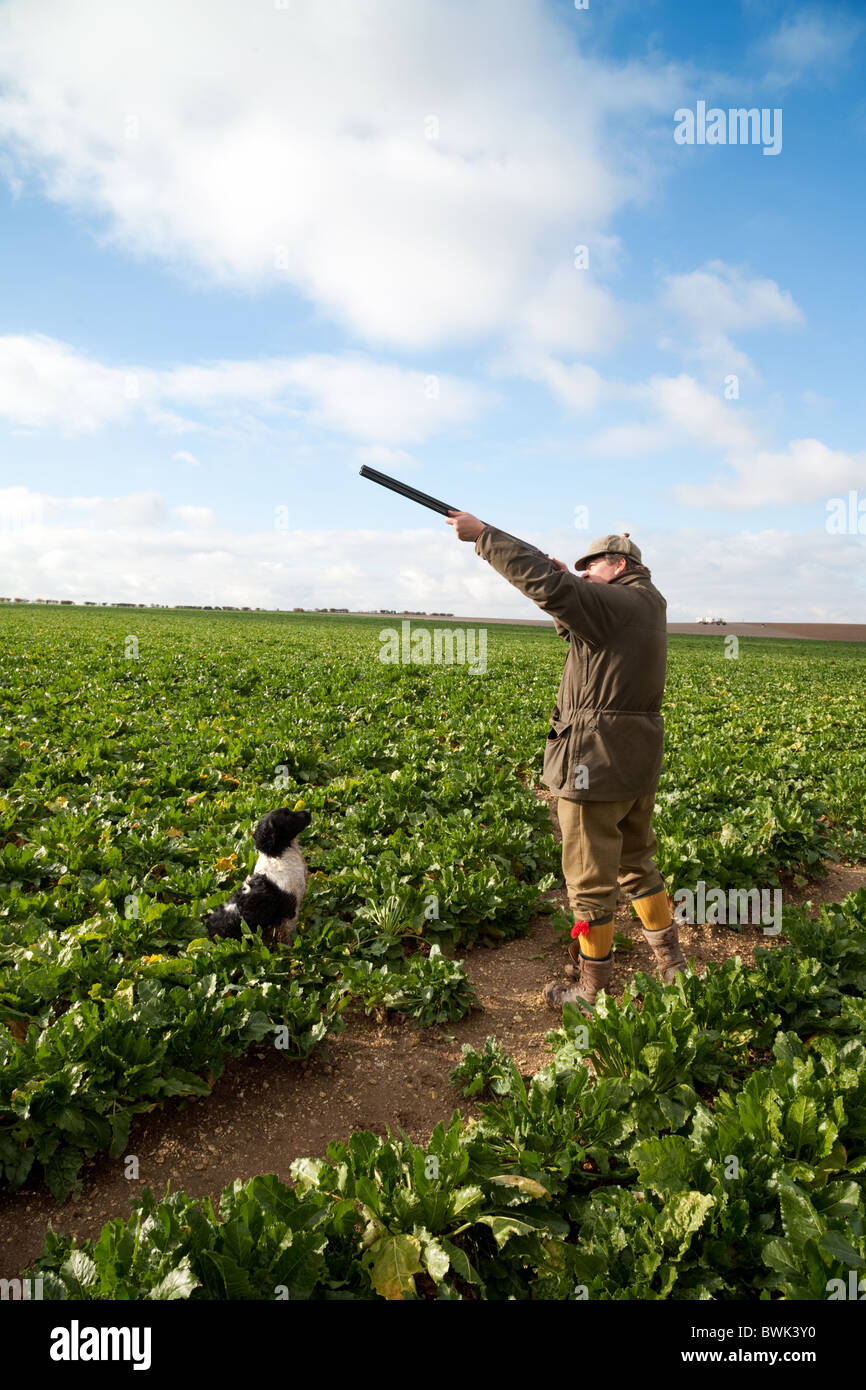 Shooting game hi-res stock photography and images - Alamy