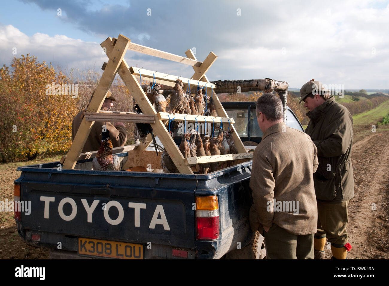 Two shooters (guns) examining the bag on a game bird shoot ...