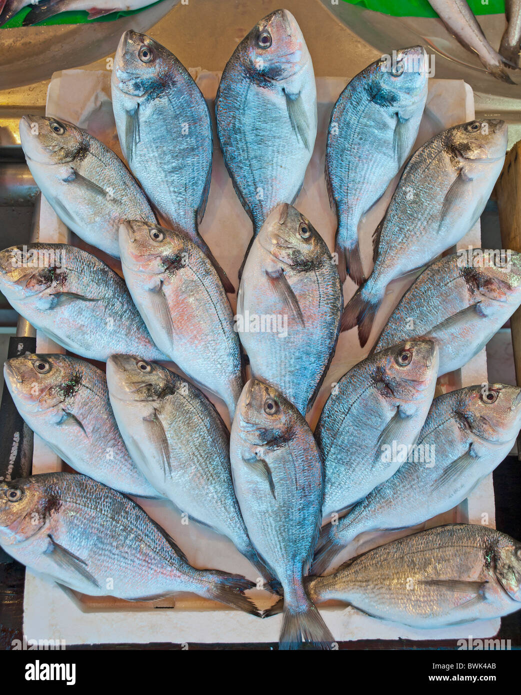 Fresh fish on display at a fish market Stock Photo - Alamy