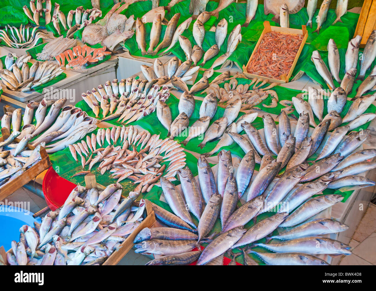 Fresh fish on display at a fish market Stock Photo - Alamy