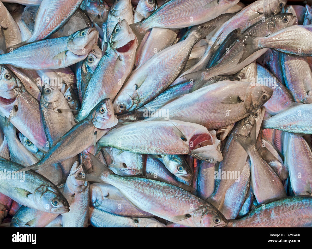 Fresh fish on display at a fish market Stock Photo - Alamy