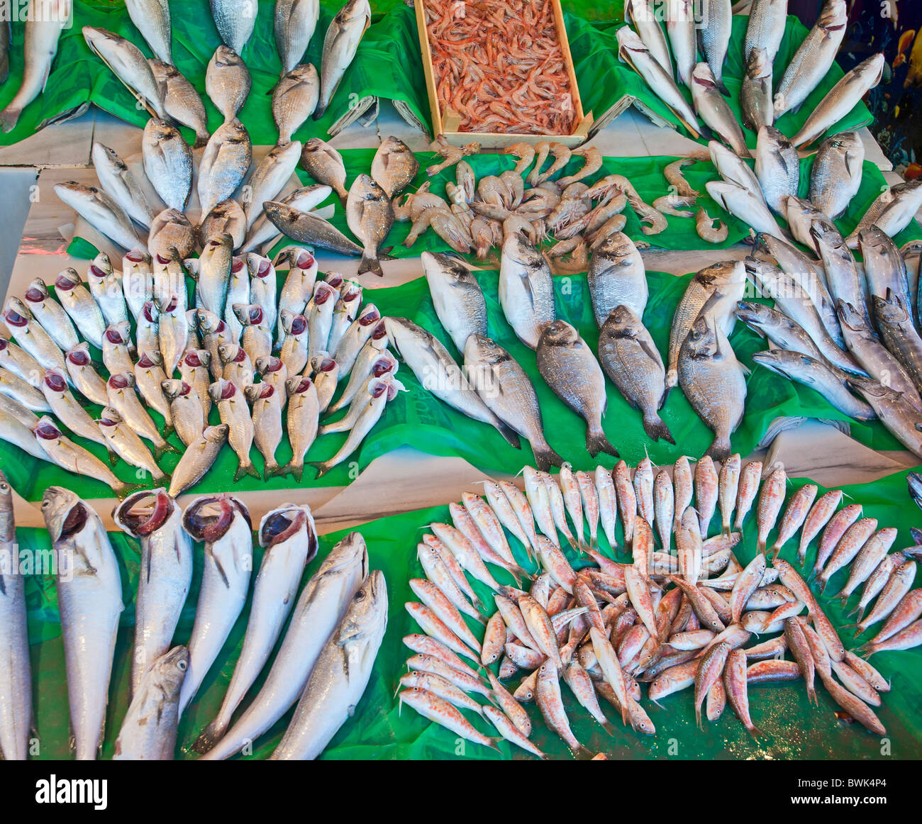 Fresh fish on display at a fish market Stock Photo - Alamy