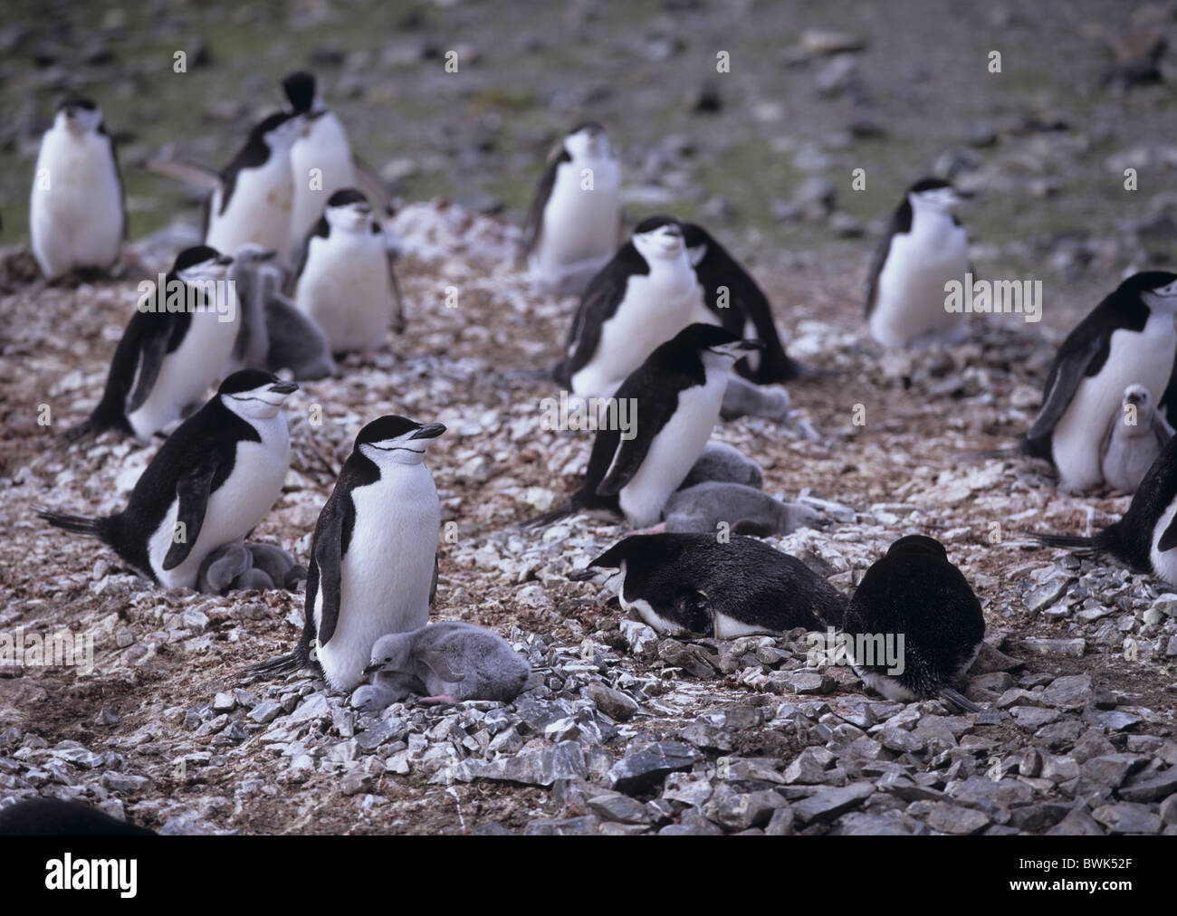 10822528 hi-res stock photography and images - Alamy