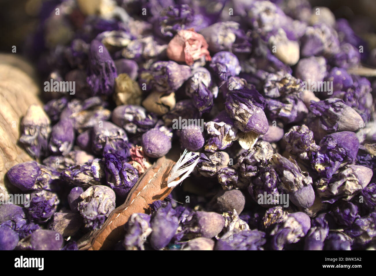 Strange spices in the souks, Marrakech, Morocco, Africa Stock Photo - Alamy