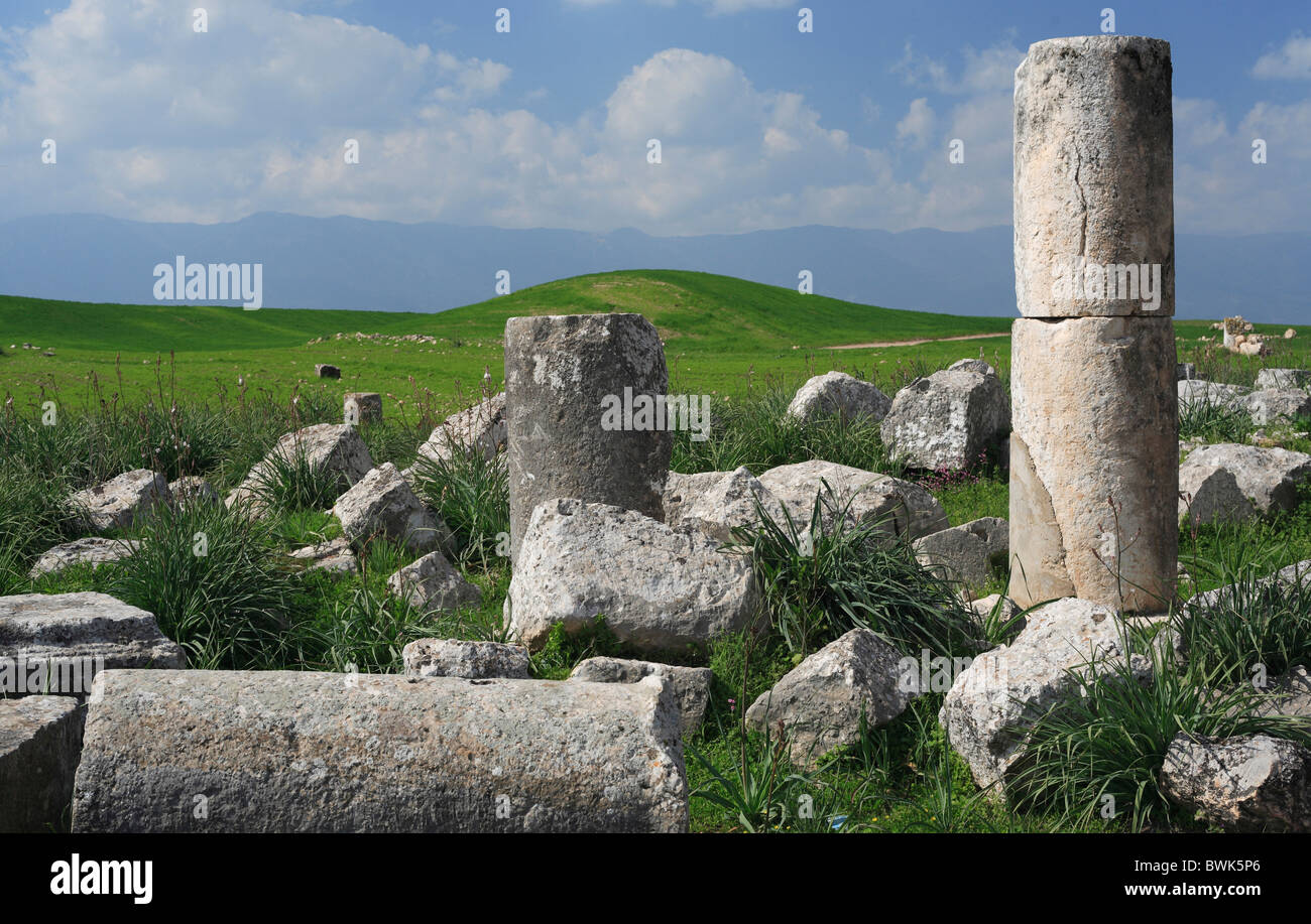 Asia Middle East Oriental Syria roman architecture ruins column columns ...
