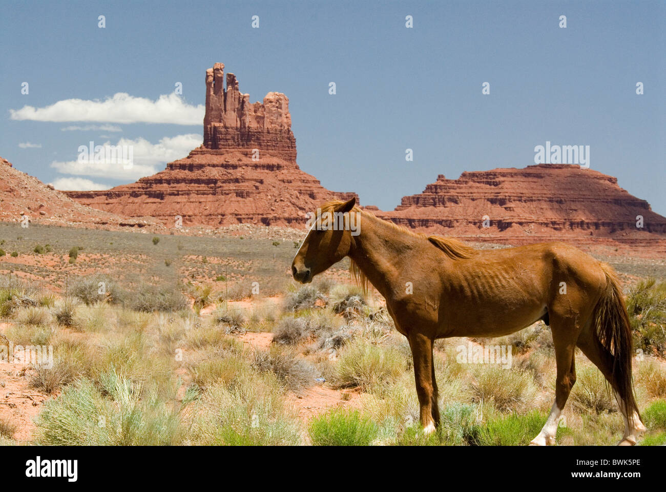 10827576 hi-res stock photography and images - Alamy