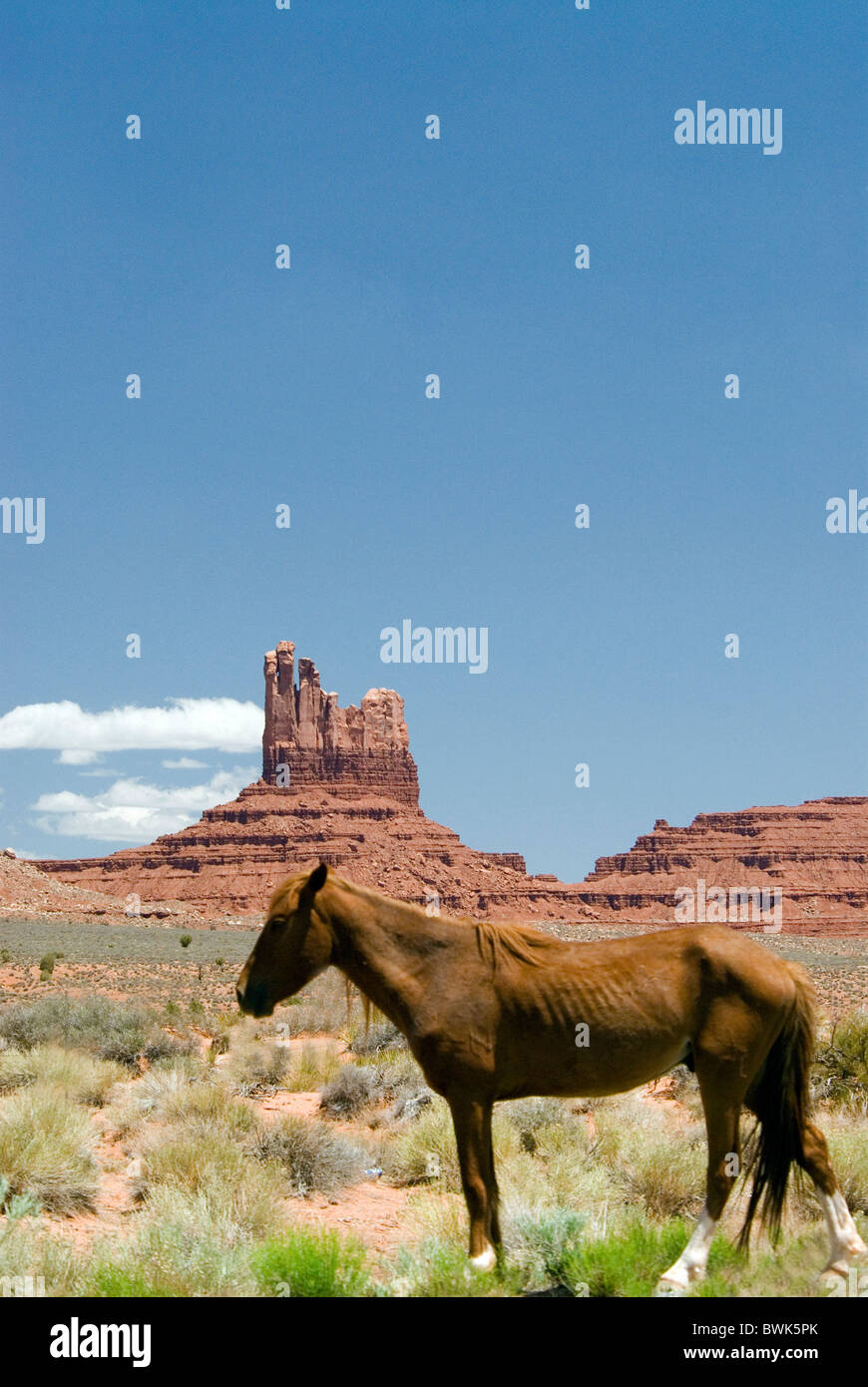 L thin hi-res stock photography and images - Alamy