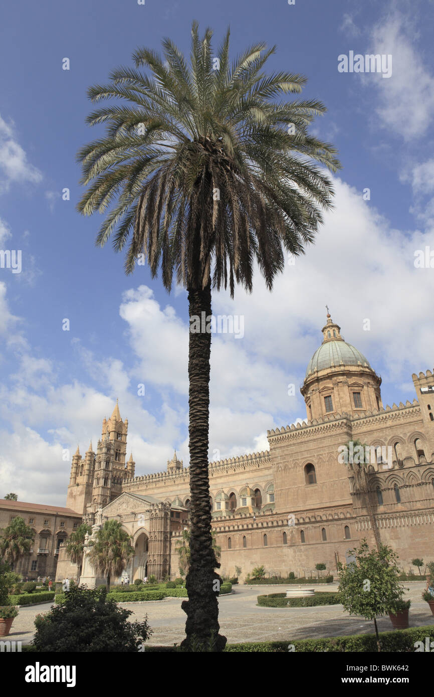 Palm tree in front of cathedral Maria Santissima Assunta, Square Piazza ...