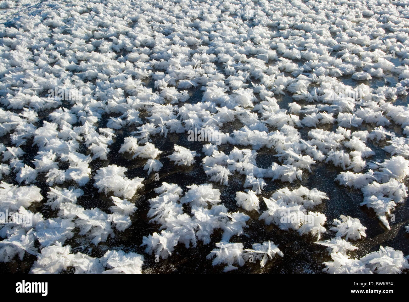 frost ice ice-crystals crystallization cold winter structure nature ...