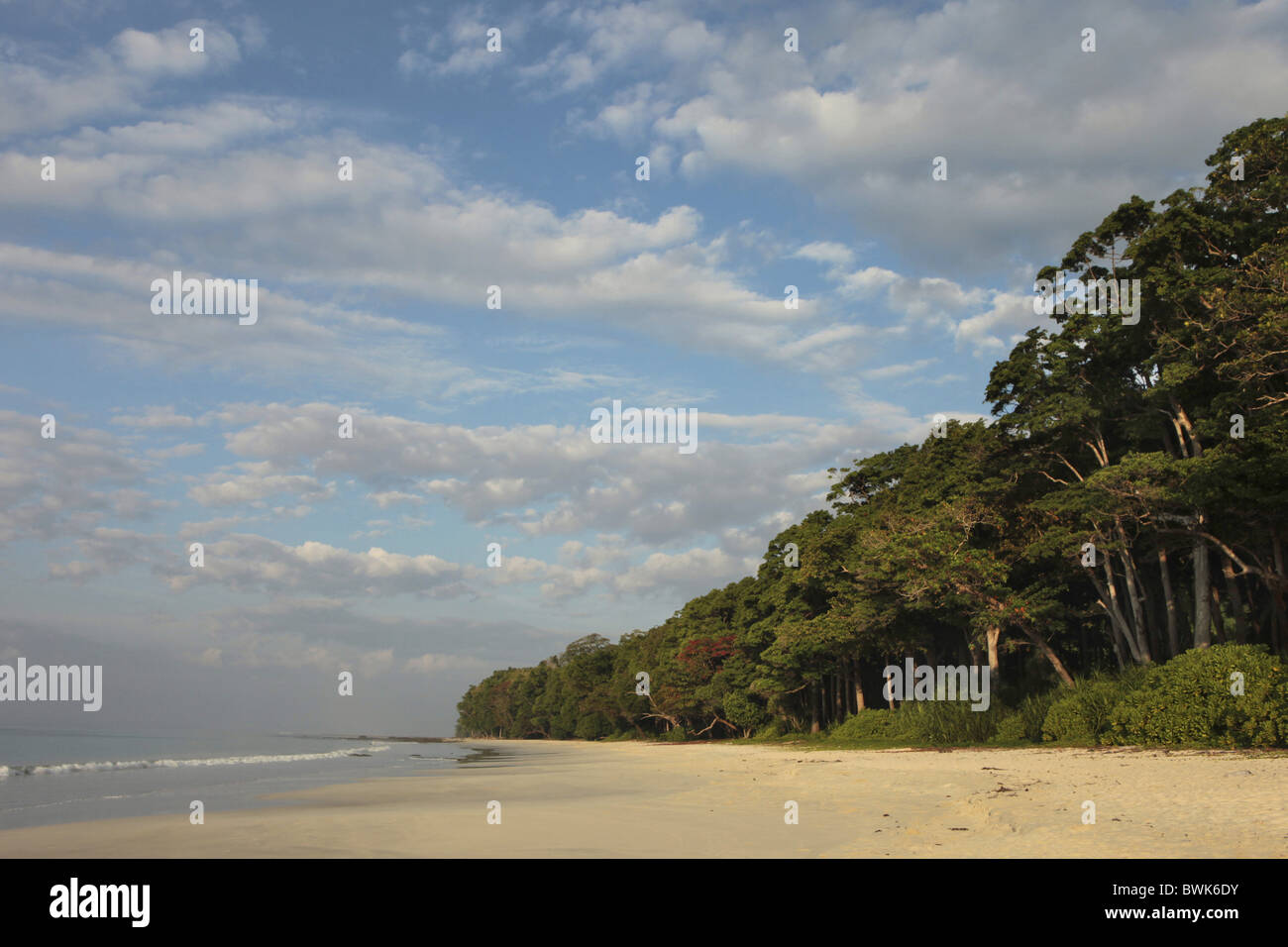 View over the 12 km long Radha Nagar Beach and its costal rainforest ...