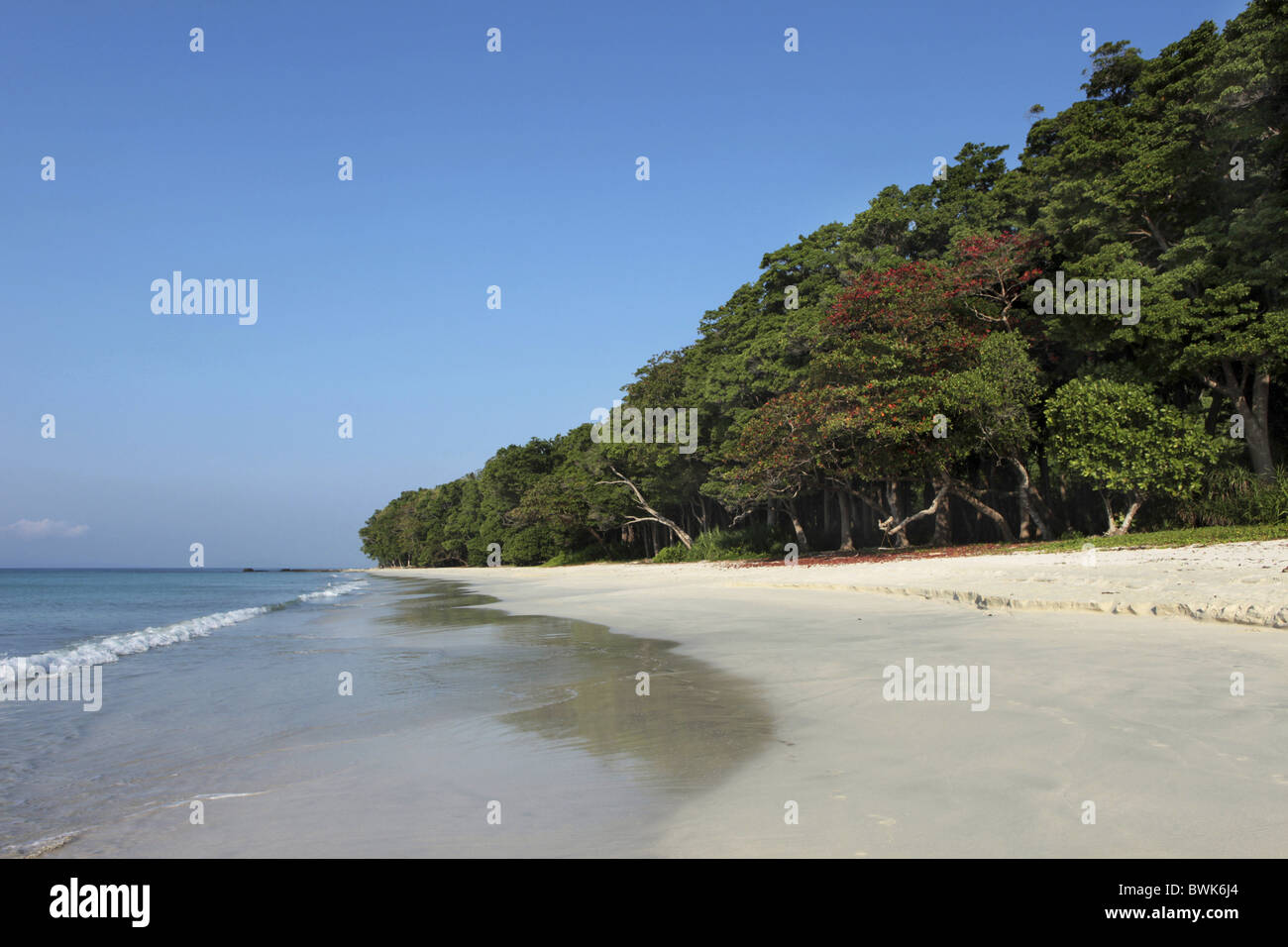View over the 12 km long Radha Nagar Beach and its costal rainforest ...