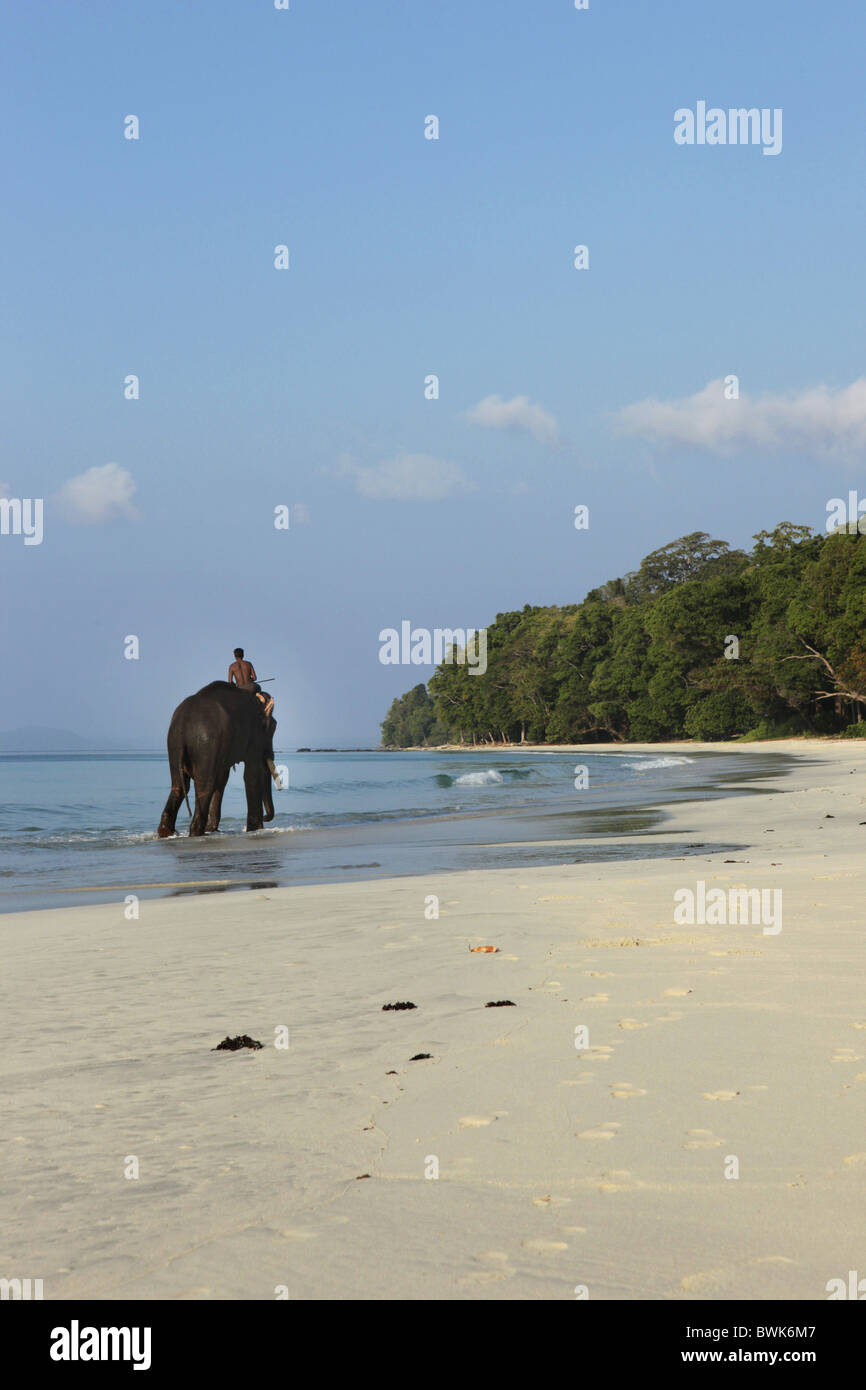 Elephant beach havelock hi-res stock photography and images - Alamy