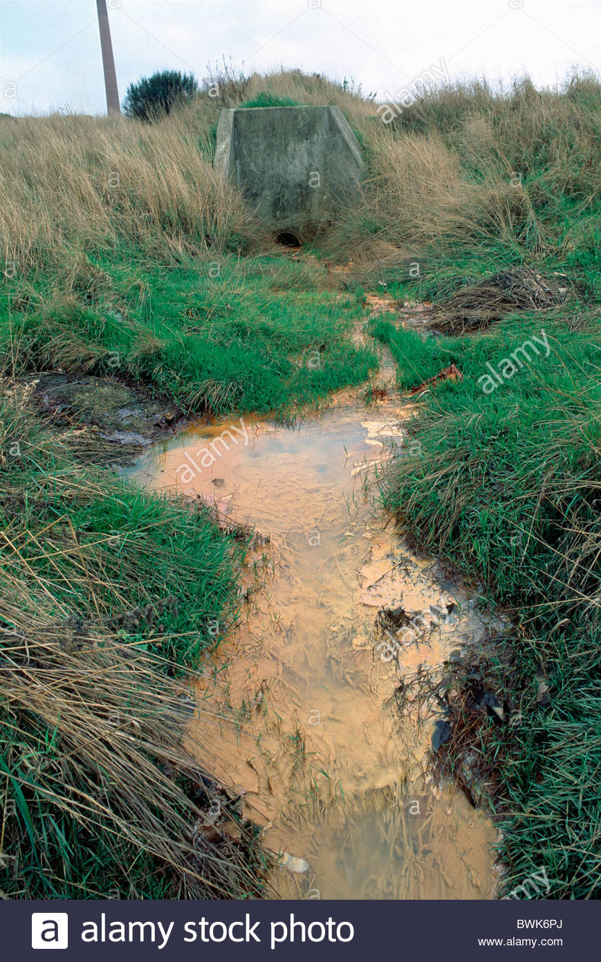 Heavy Metal Poisoning Stock Photos & Heavy Metal Poisoning Stock Images ...