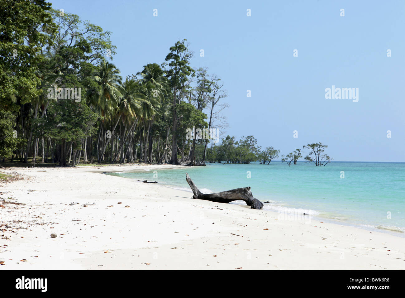 View over the beach at Lalaji Bay, Long Island, Middle Andaman ...