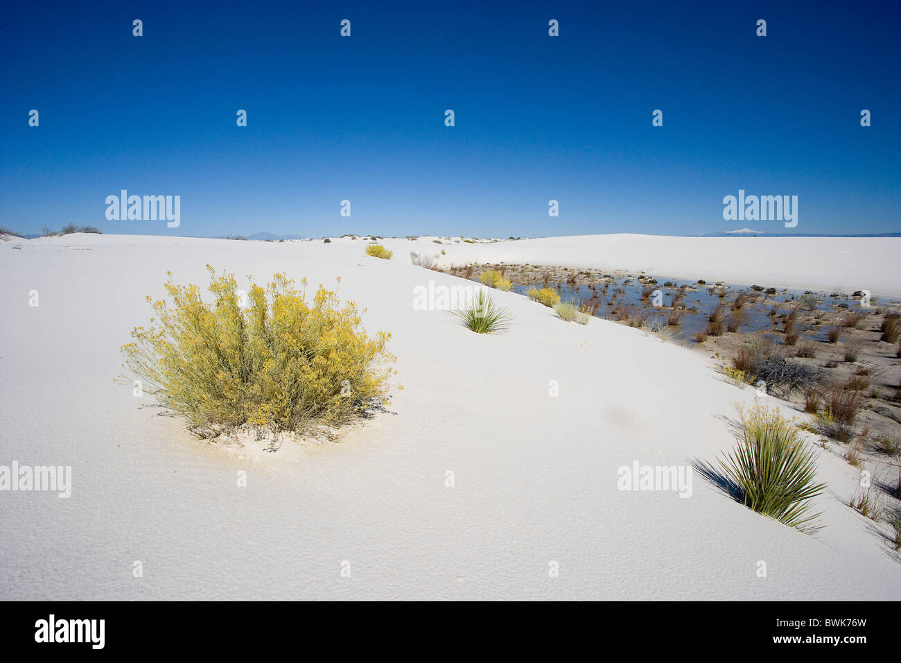 USA America United States North America New Mexico White sands national ...