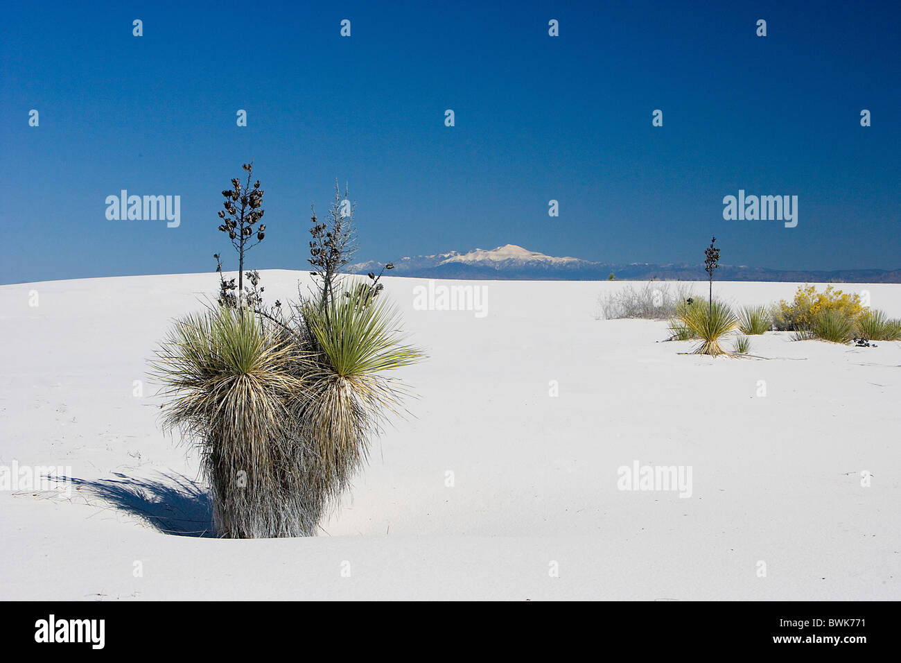 USA America United States North America New Mexico White sands national ...