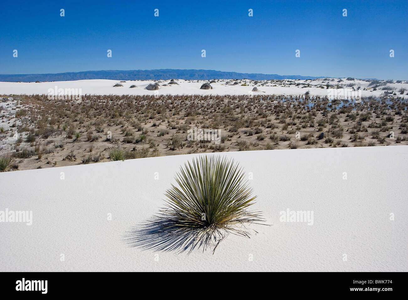 USA America United States North America New Mexico White sands national ...
