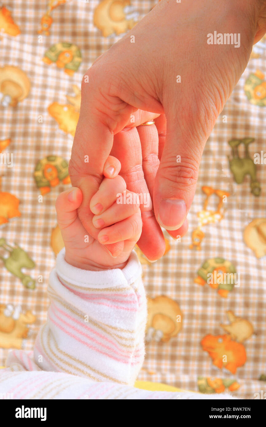 child baby infant baby hand mother hands little hands studio blue ...