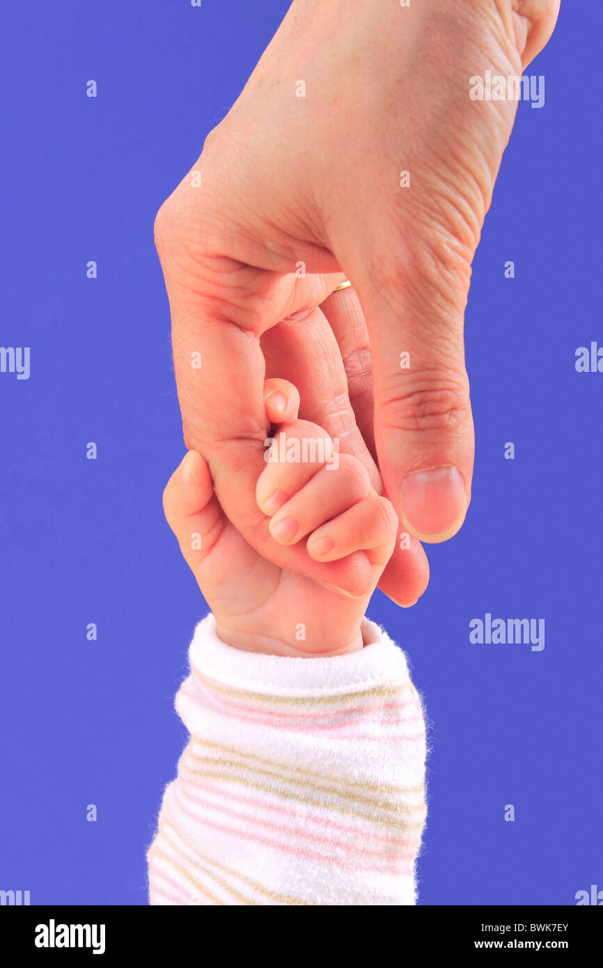 child baby infant baby hand mother hands little hands studio blue ...