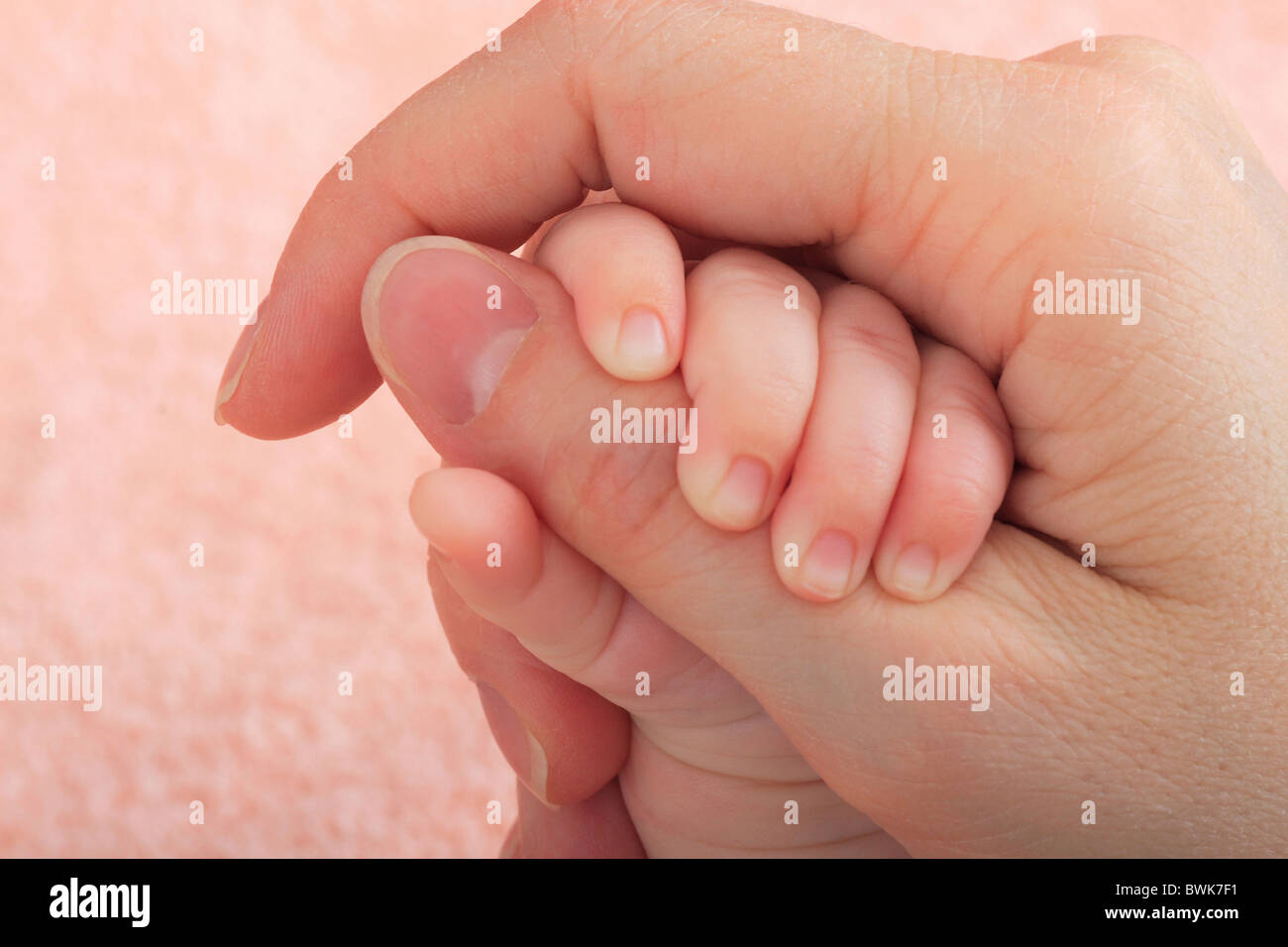 child baby infant baby hand mother hands little hands studio blue ...