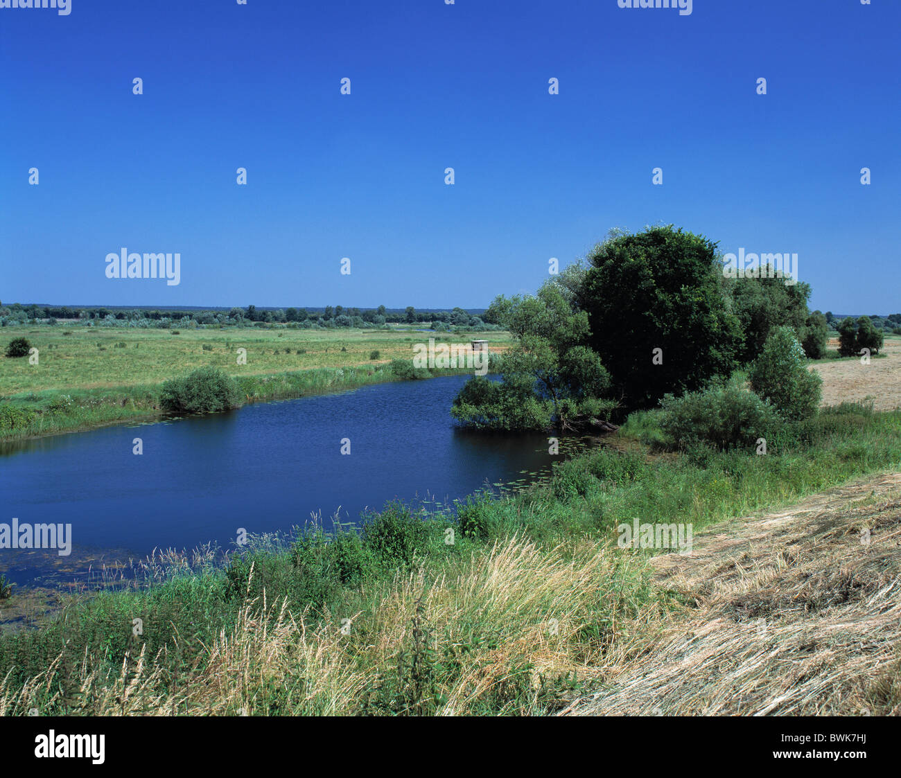 scenery landscape water moor marsh river scenery Old Oder Genschmar ...