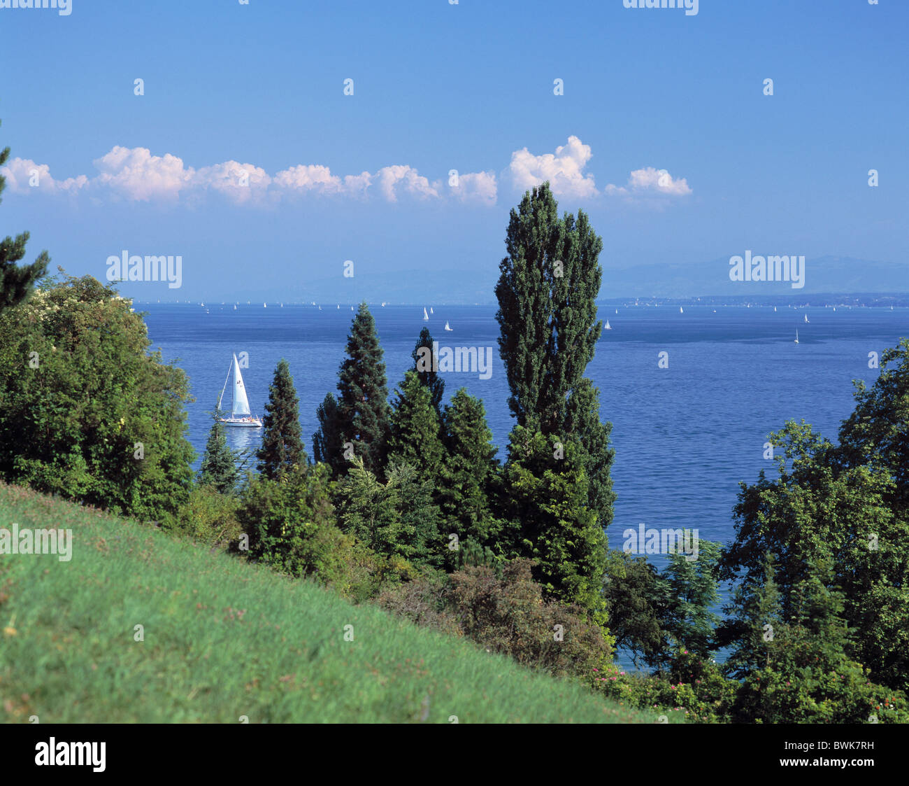 Lake of Constance scenery landscape shore trees sail boats lake ...