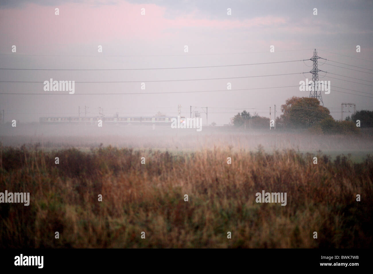 mist in the park 4 Stock Photo - Alamy